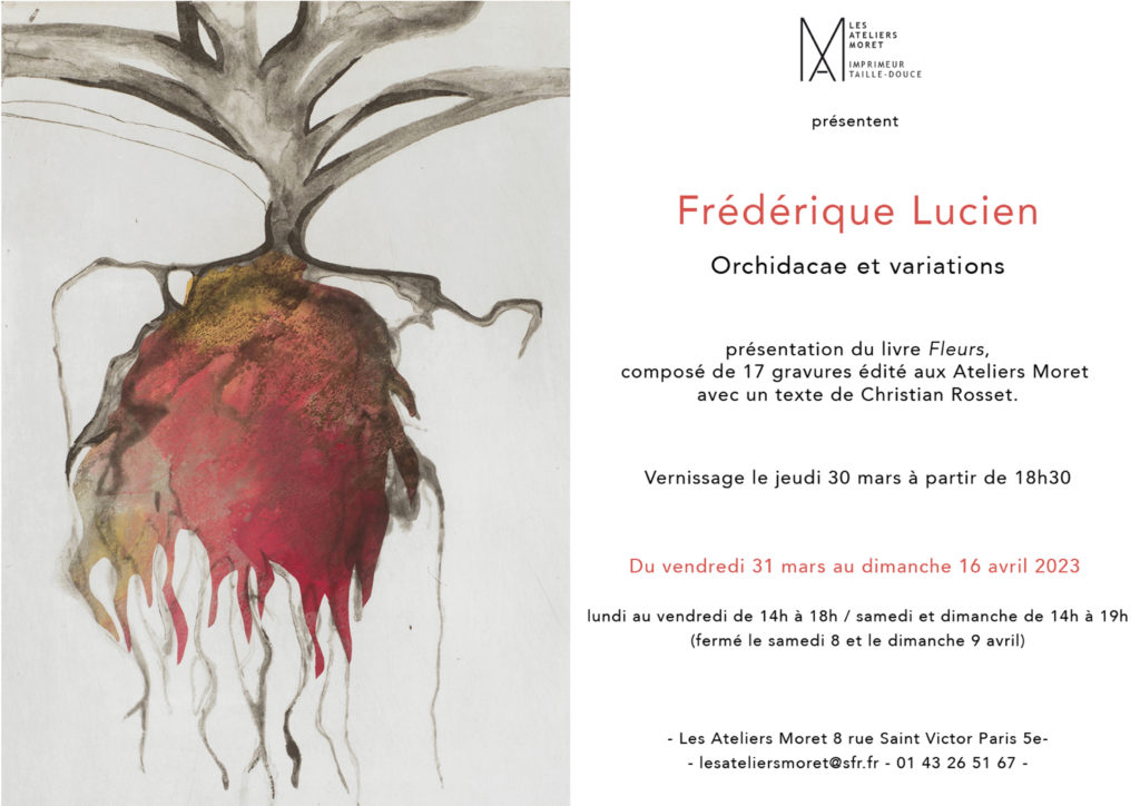 Orchidacae et variations – Frédérique Lucien
